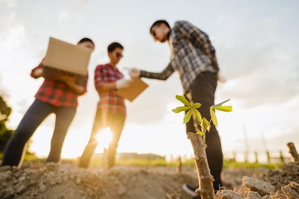 Mapping Green Careers: Guiding Students Towards Sustainable Job ...
